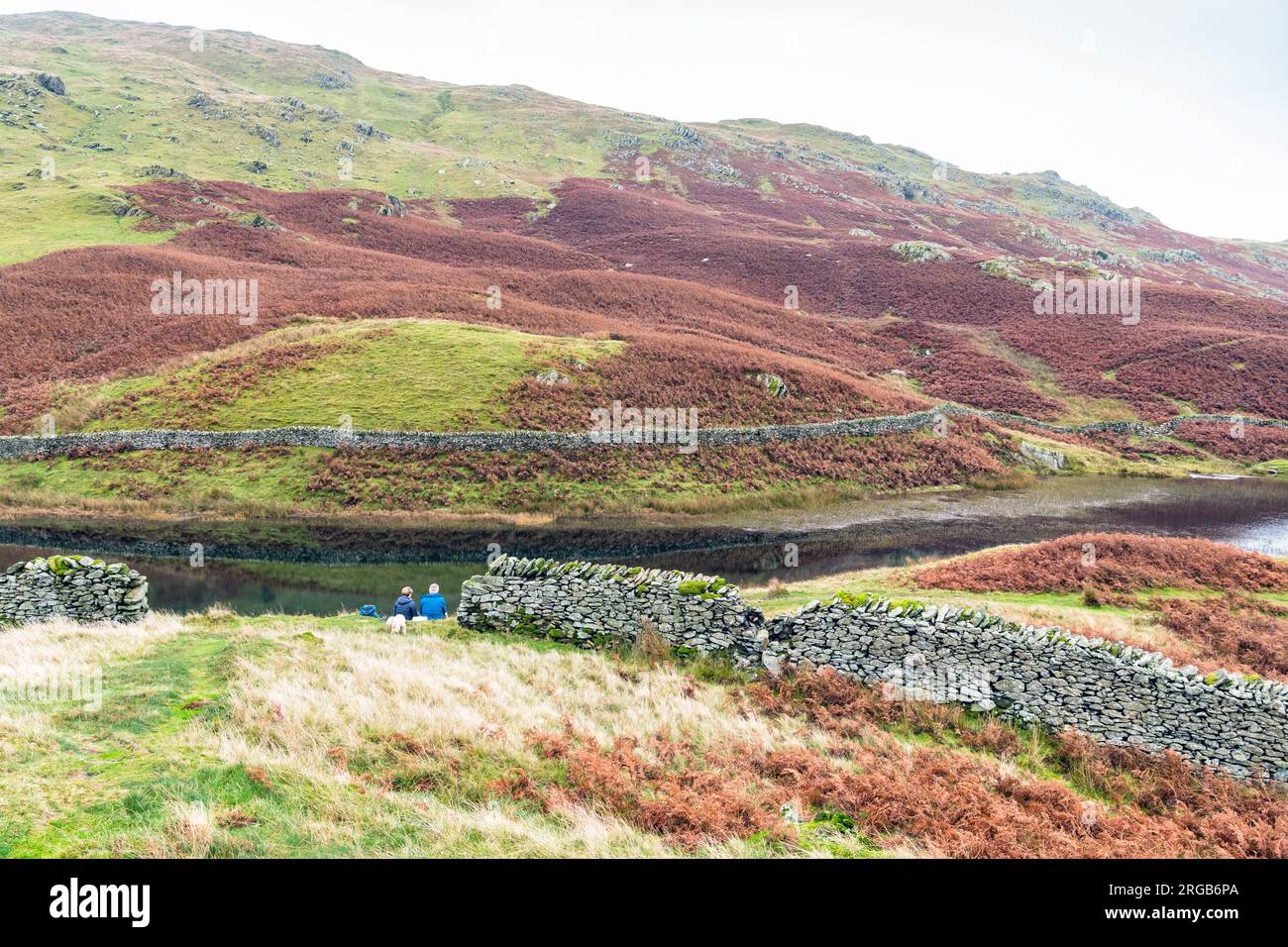 Alcock Tarn, near Grasmere, Lake District National Park, Cumbria ...