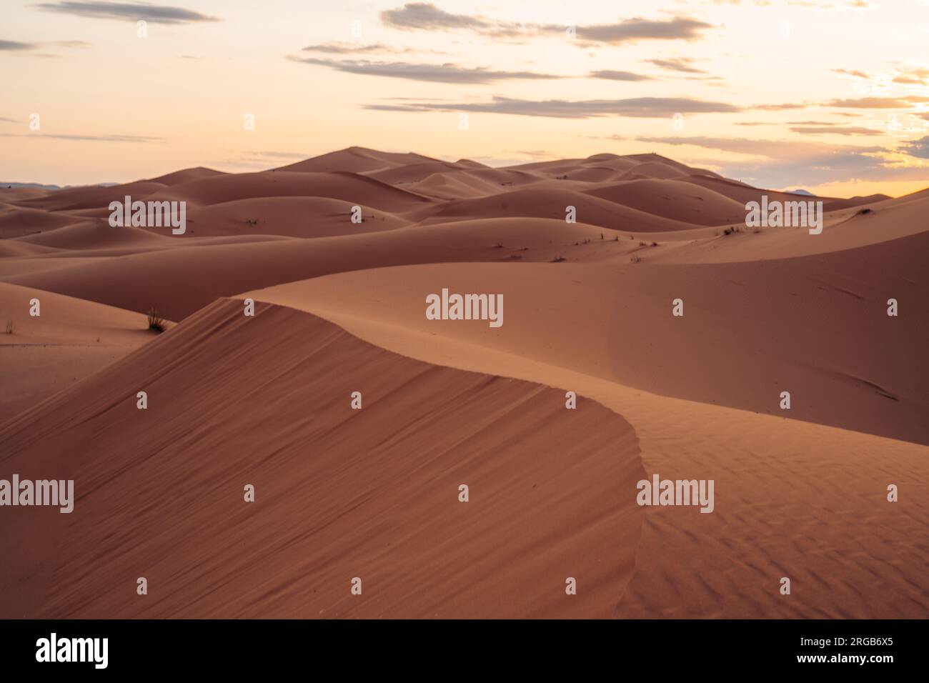 Sahara Morocco: Majestic desert expanse, offering golden dunes ...