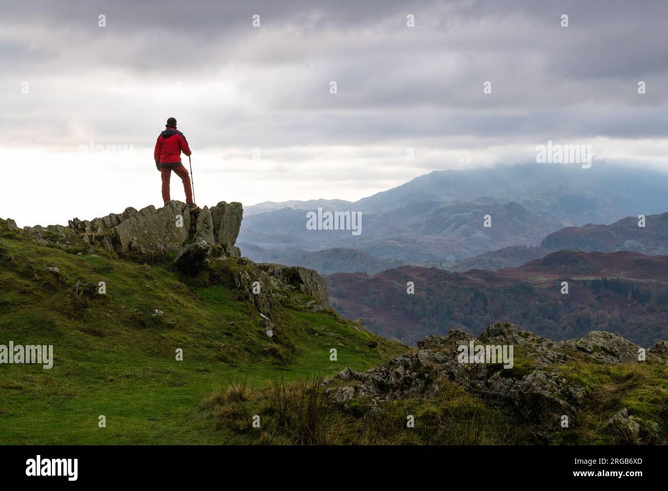 Grey grag hi-res stock photography and images - Alamy