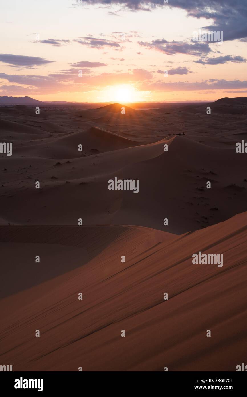 Sahara Morocco: Majestic desert expanse, offering golden dunes ...