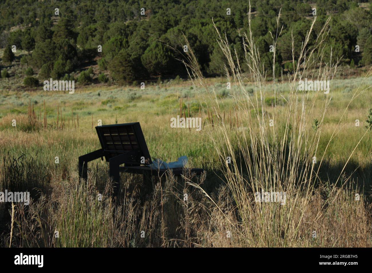 bench sitting on a beautiful meadow Stock Photo - Alamy