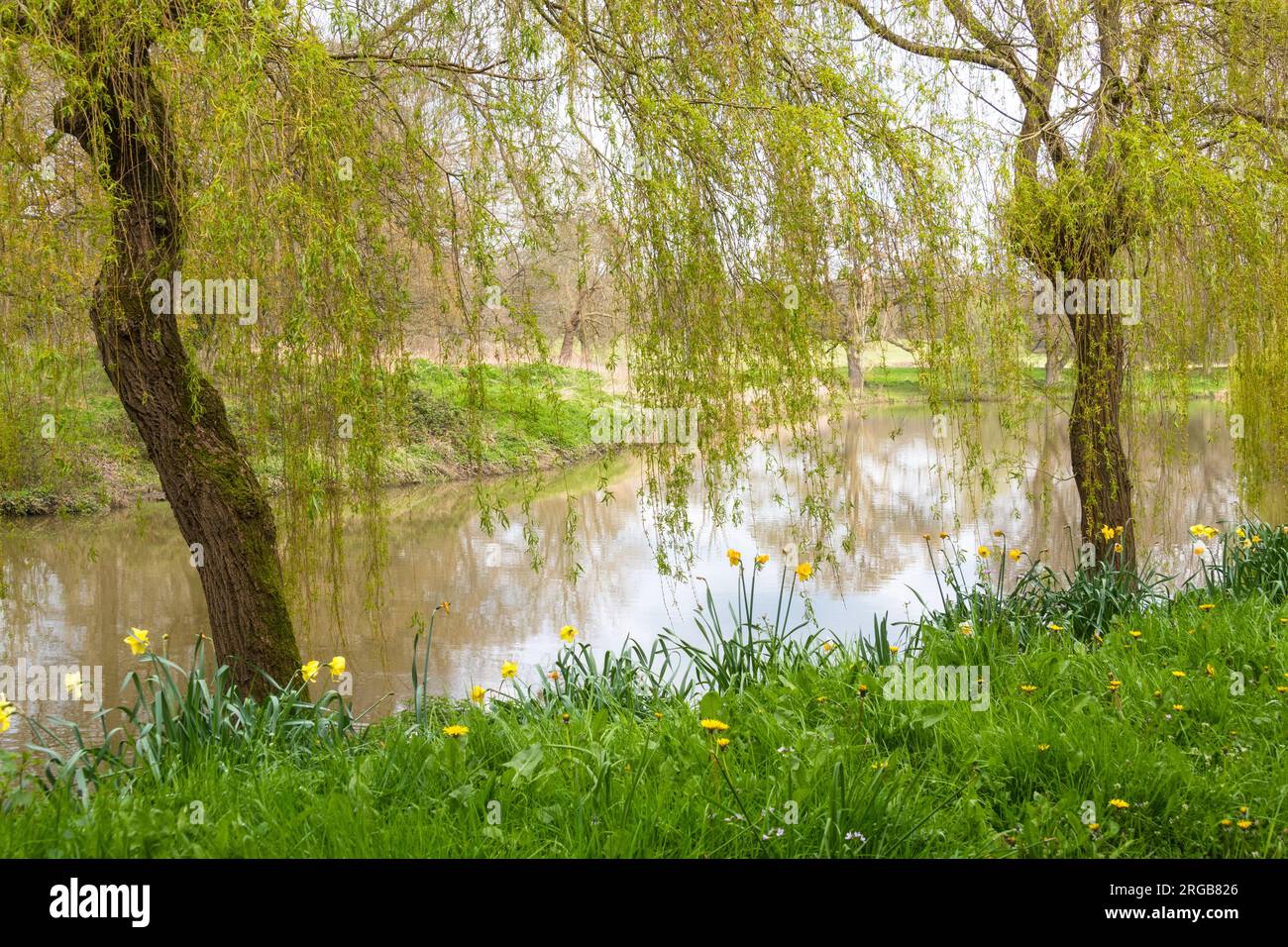 Hever Castle garden in spring, Kent, England Stock Photo - Alamy