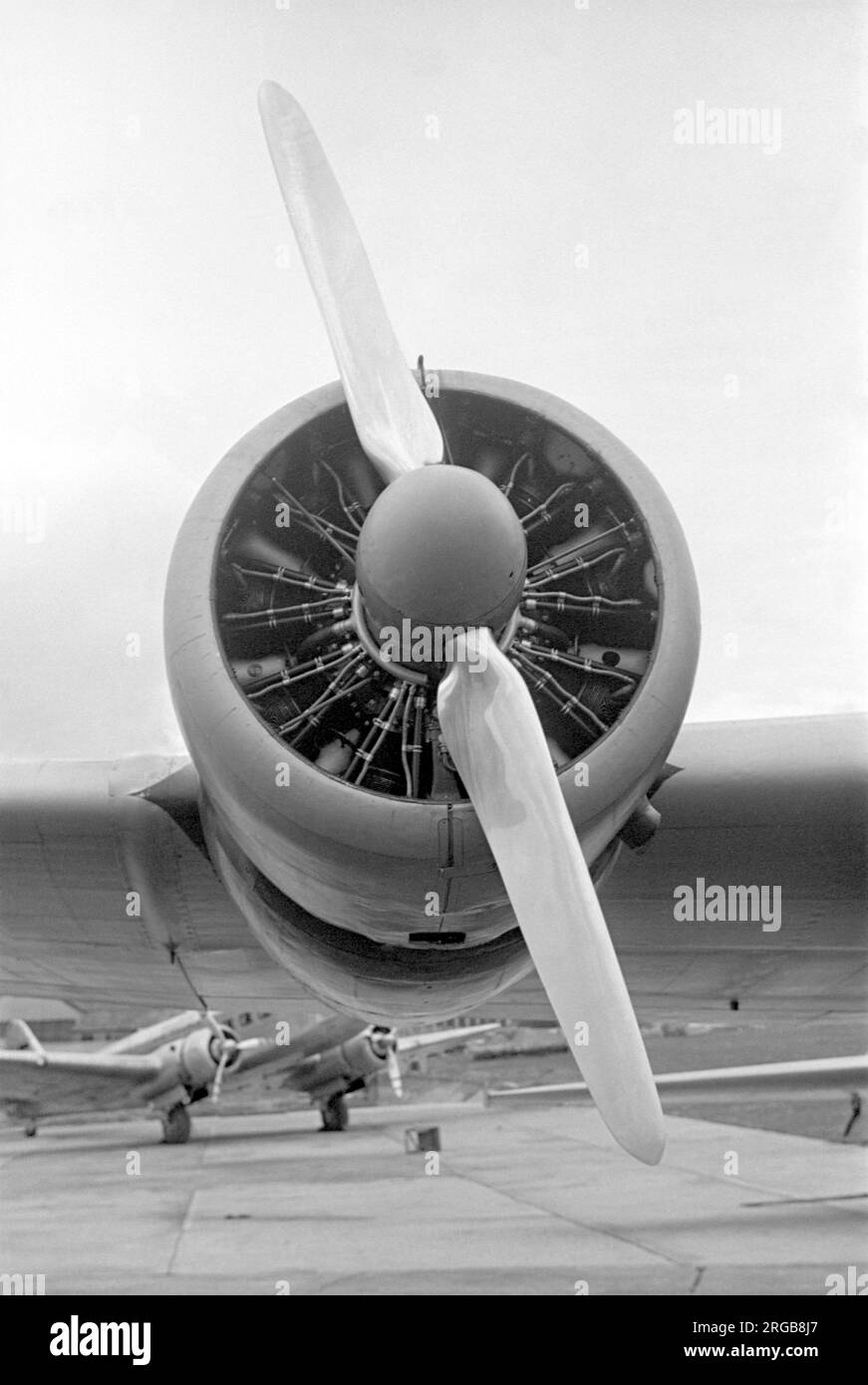 Focke-Wulf Fw 200A(-02 or -05) Condor, of Det Danske Luftfartselskab A ...