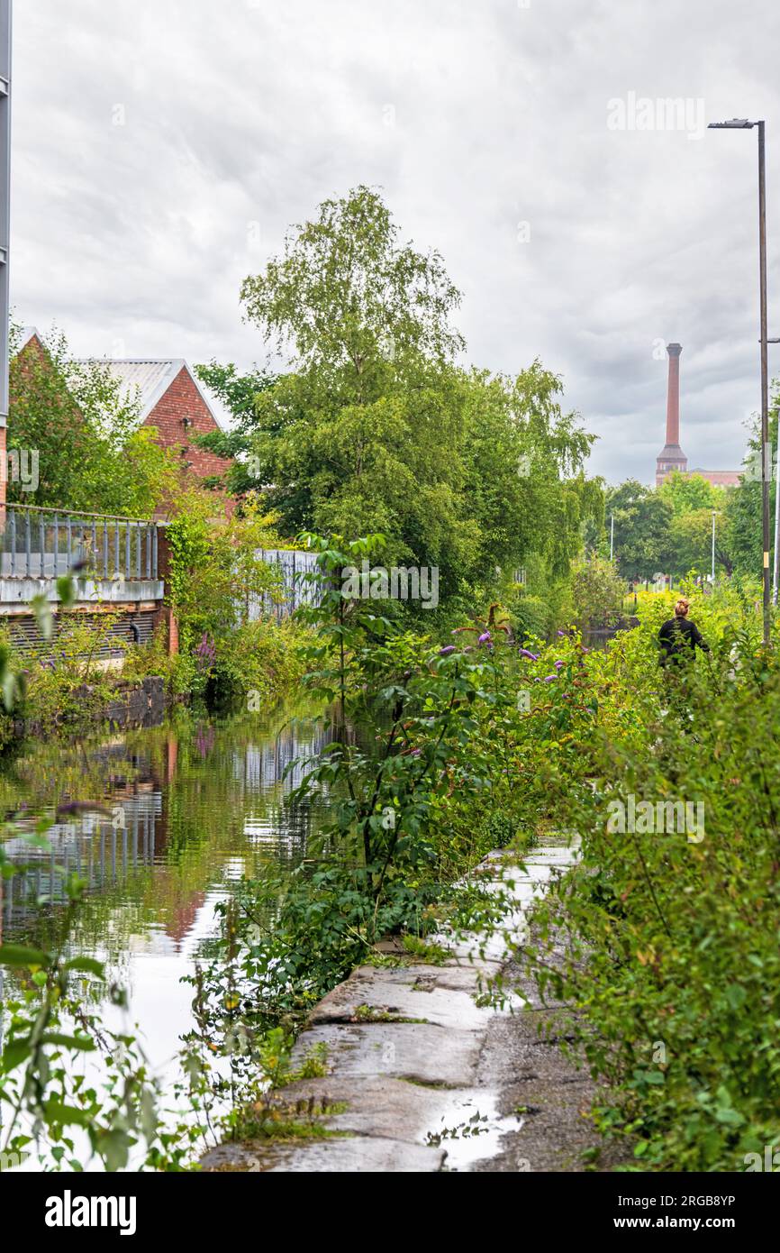 Lone Person walking on the tow path at Rochdale Canal in Ancoats ...