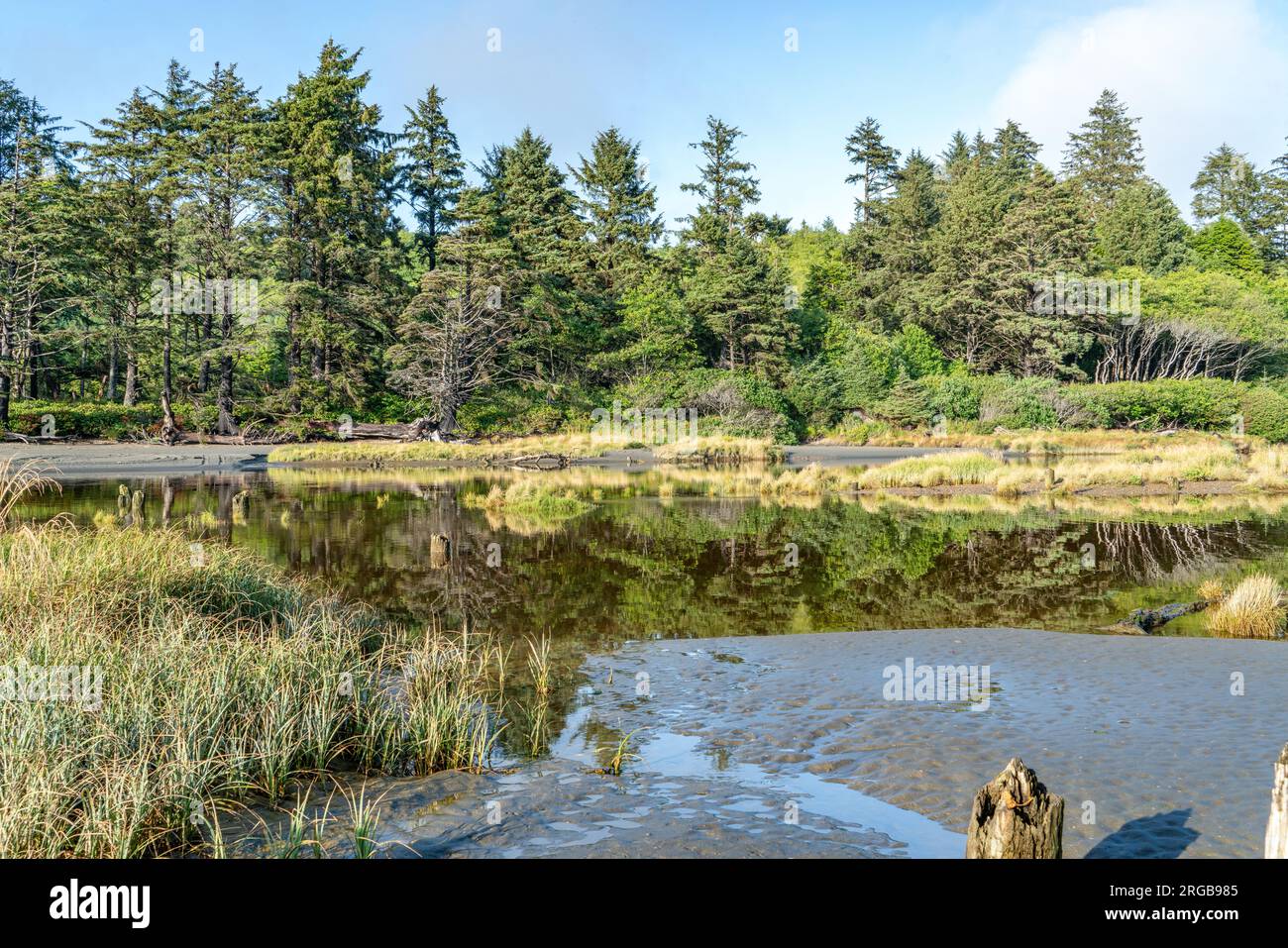 A landscape photo of the Moclips River in Washington State Stock Photo ...