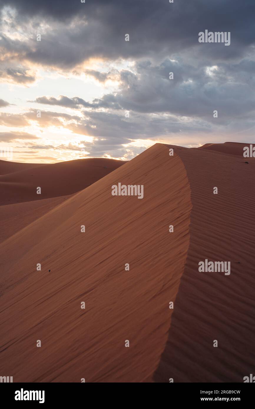 Sahara Morocco: Majestic desert expanse, offering golden dunes ...