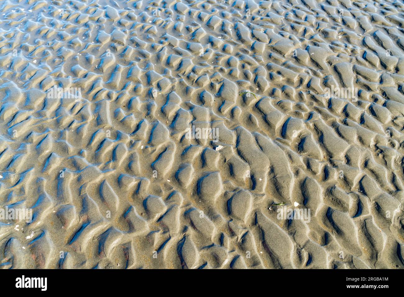 Ocean water has created patterns in the sand at Moclips, Washington ...