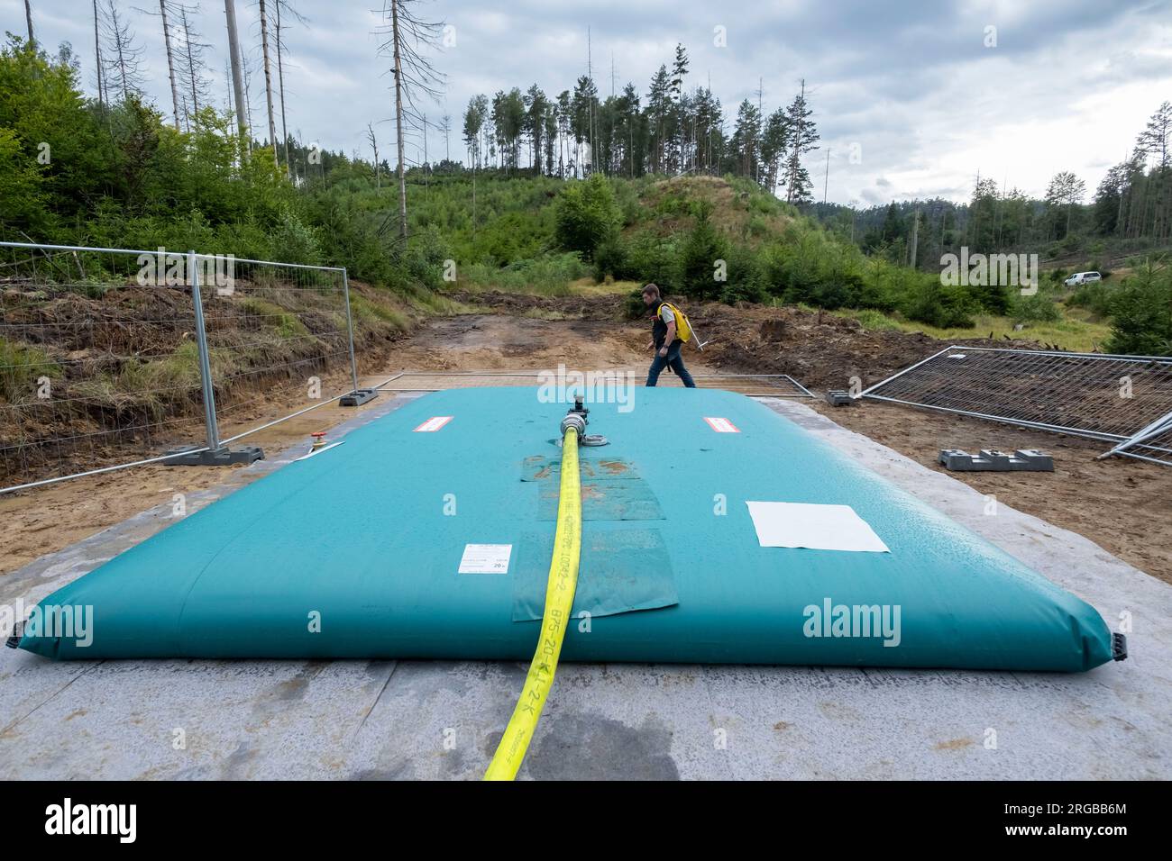 Bad Schandau, Germany. 08th Aug, 2023. National Park Ranger Christian ...