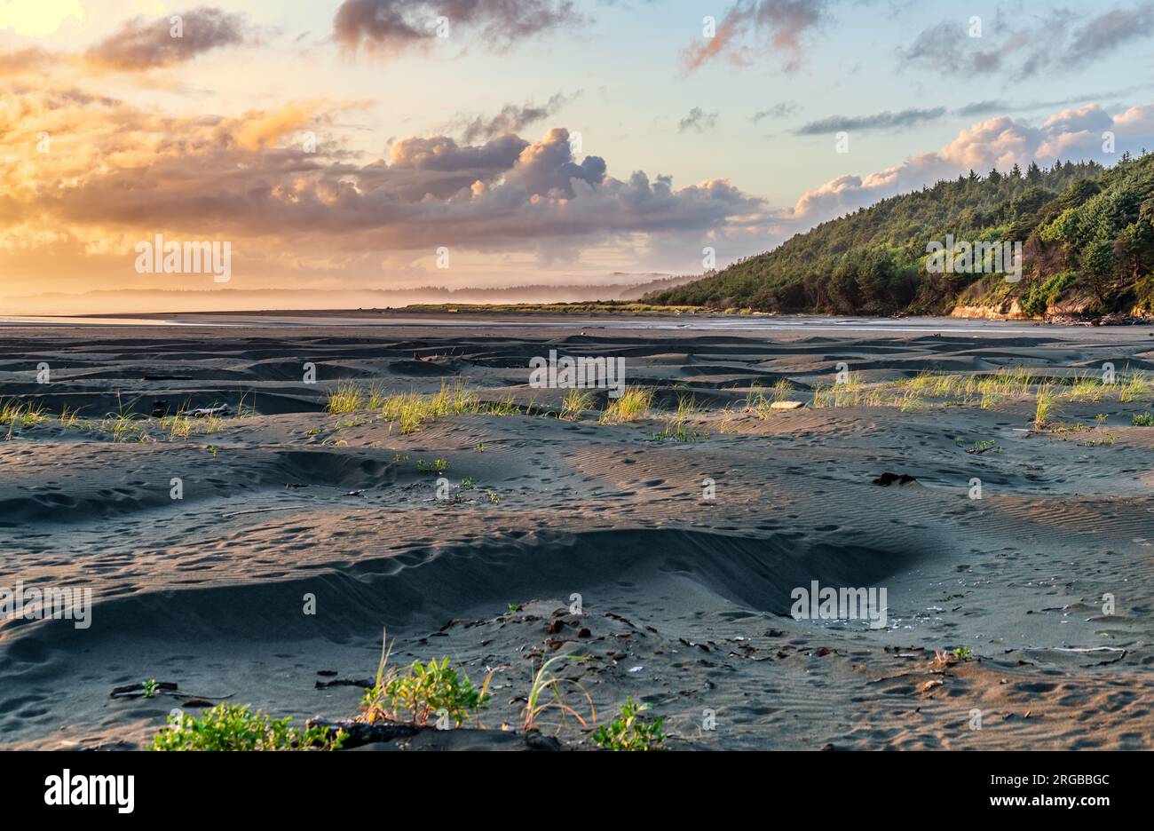 Moclips hi-res stock photography and images - Alamy