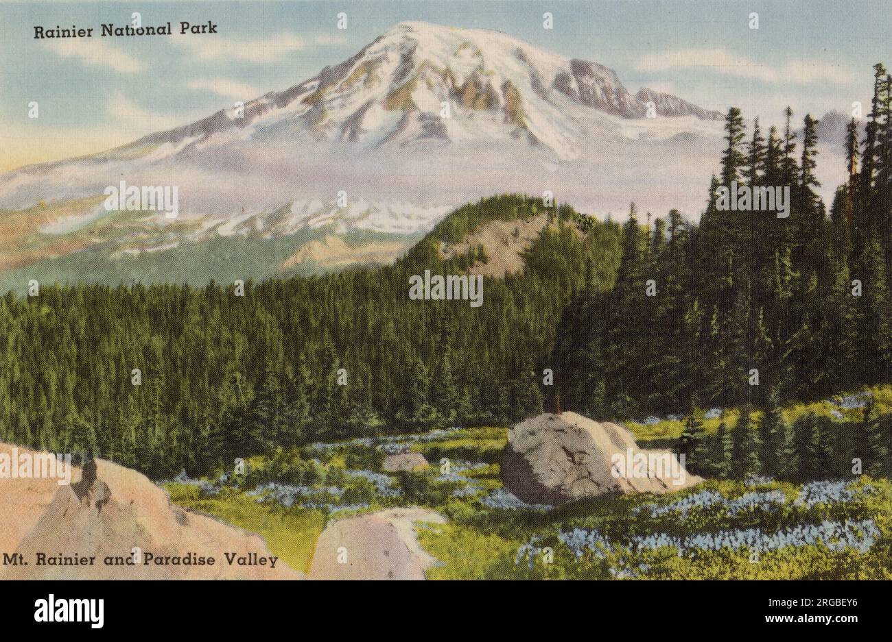 Rainier National Park, Washington State, USA, with Mount Rainier and ...