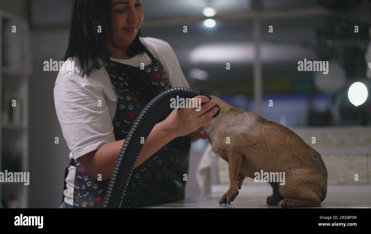 One female employee pet shop hi-res stock photography and images - Alamy