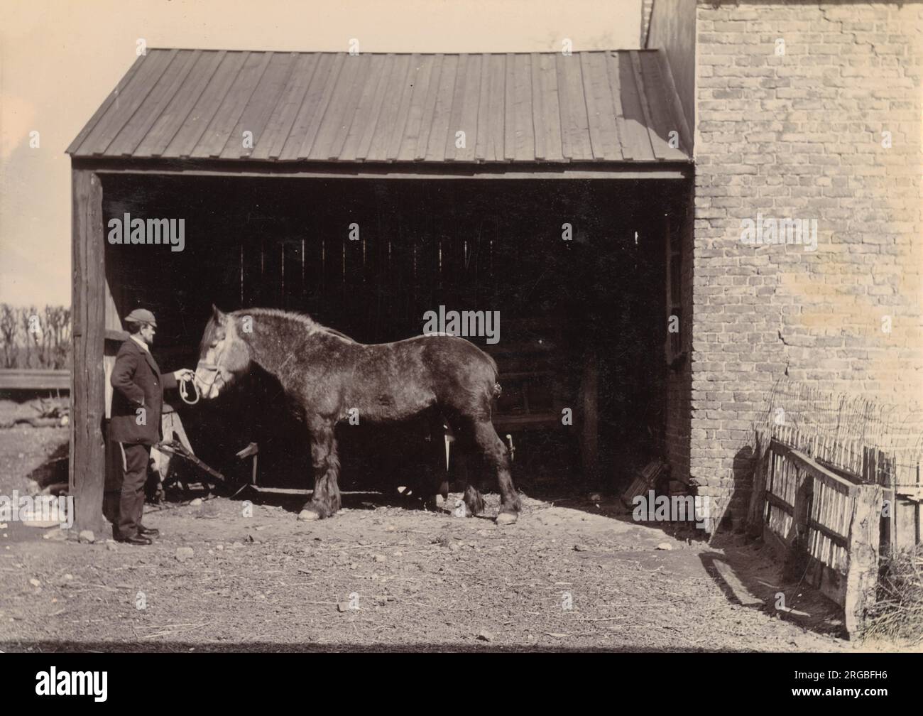 Woolfe family of The Clough, Hale, Bucklow, Cheshire - Joe Falkner with ...