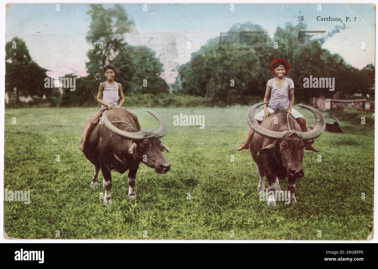 Carabao in the philippines hi-res stock photography and images - Alamy