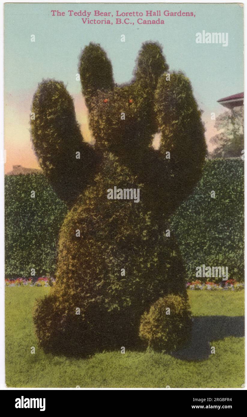 Topiary teddy bear hi-res stock photography and images - Alamy