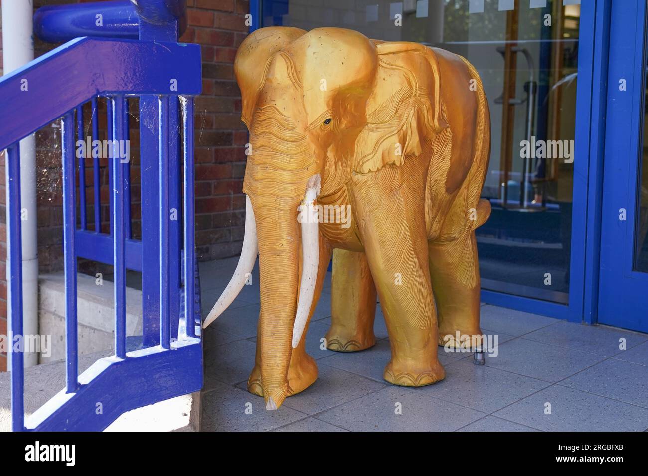 Sheffield, UK. 08th Aug, 2023. Gold Elephant statue at the main ...