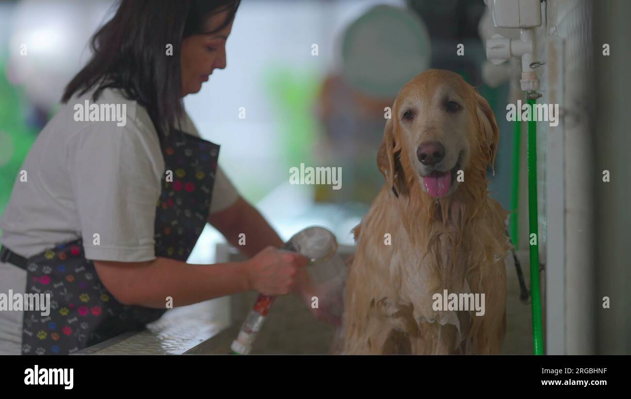 Female pet shop employee hi-res stock photography and images - Alamy