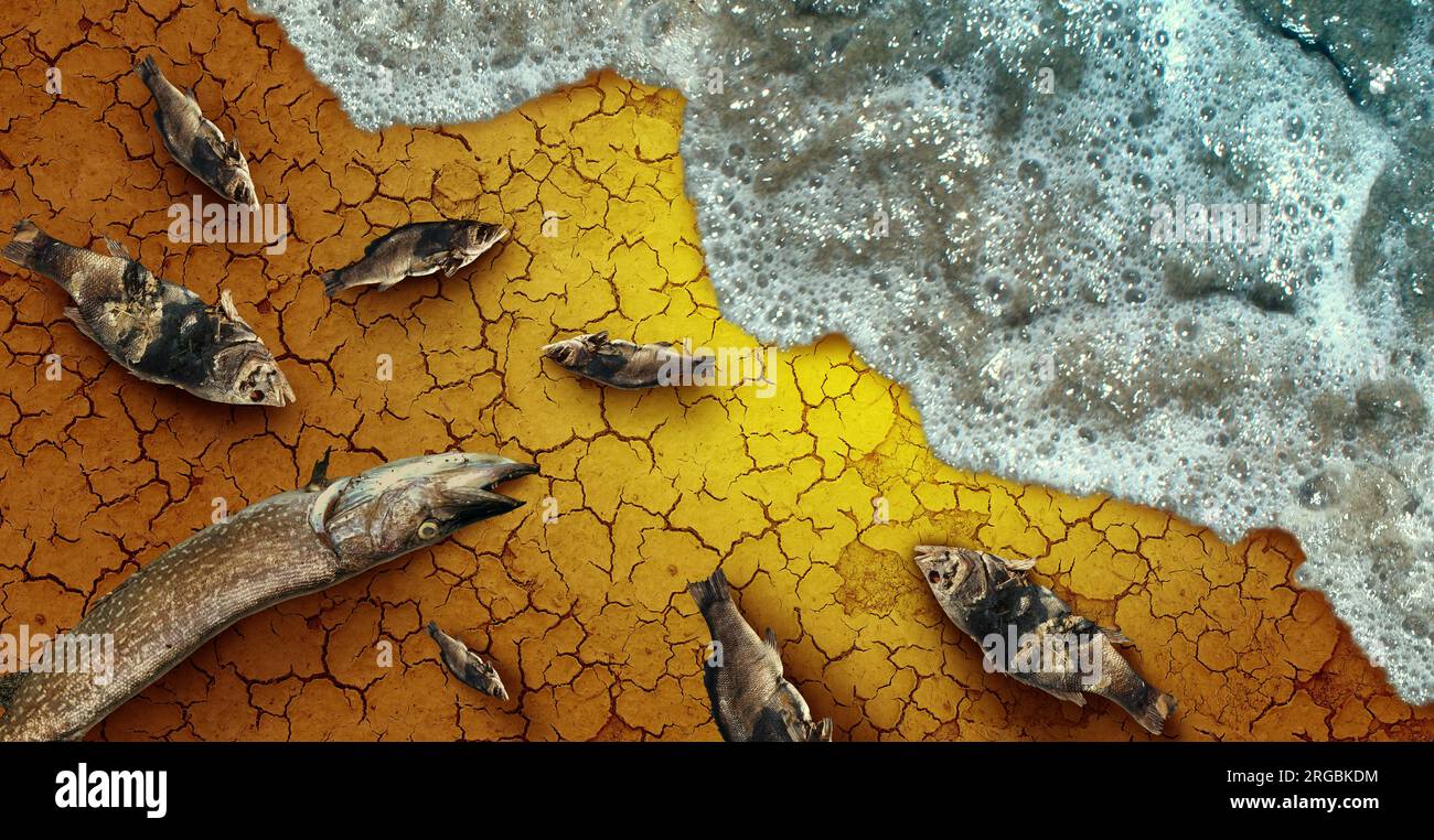 Warming Ocean Water causing death to marine life as a Meteorology ...