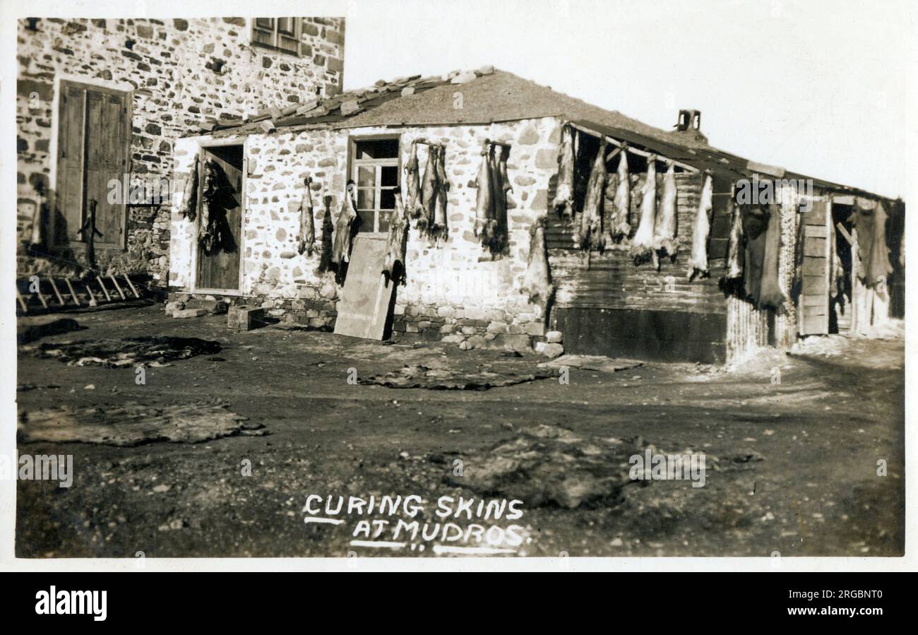 Moudros, Lemnos, Greece - Curing Skins. The sheepskins were used to ...