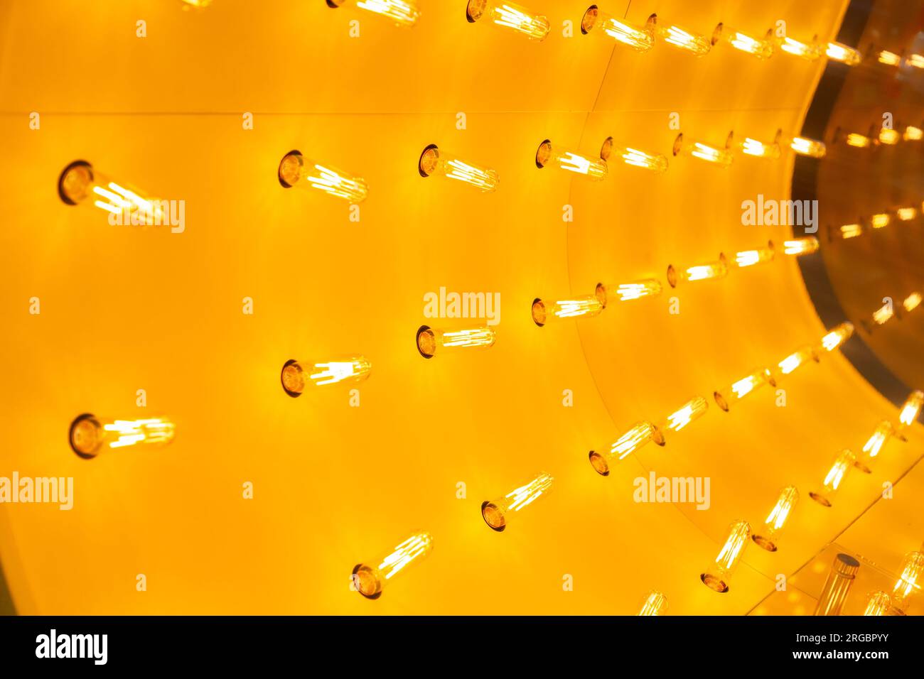 Close up shot of many lightbulbs on yellow curved background, abstract ...