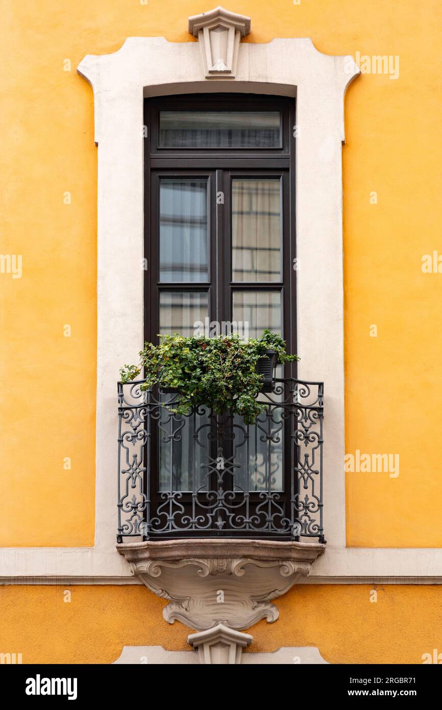 Detail from an ornate European style window of a historical building ...