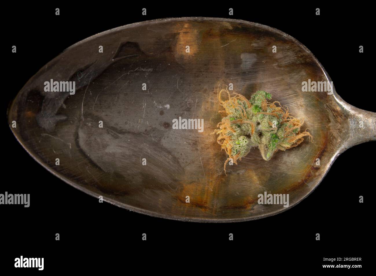 Dry marijuana bloom on old historic golden spoon with isolated ...