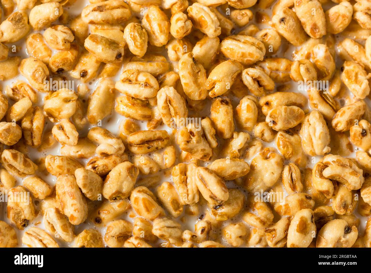 Healthy Sweet Puffed Wheat Breakfast Cereal and Whole Milk Stock Photo ...