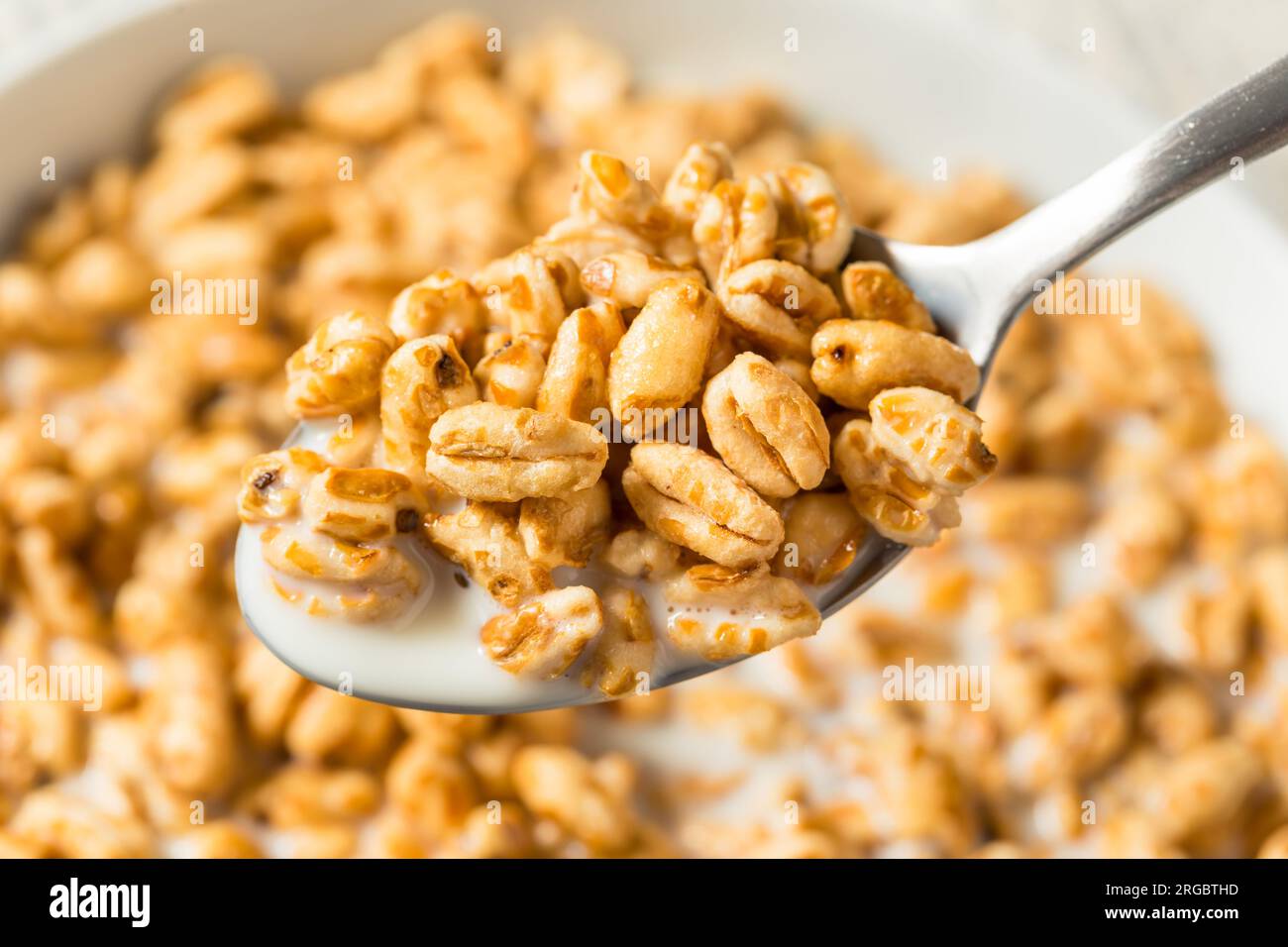 Healthy Sweet Puffed Wheat Breakfast Cereal and Whole Milk Stock Photo ...