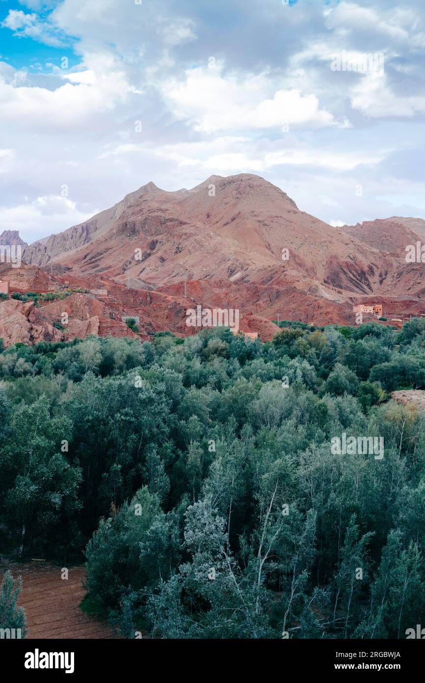 Dades Gorges: Nature masterpiece in Morocco, a stunning canyon with ...