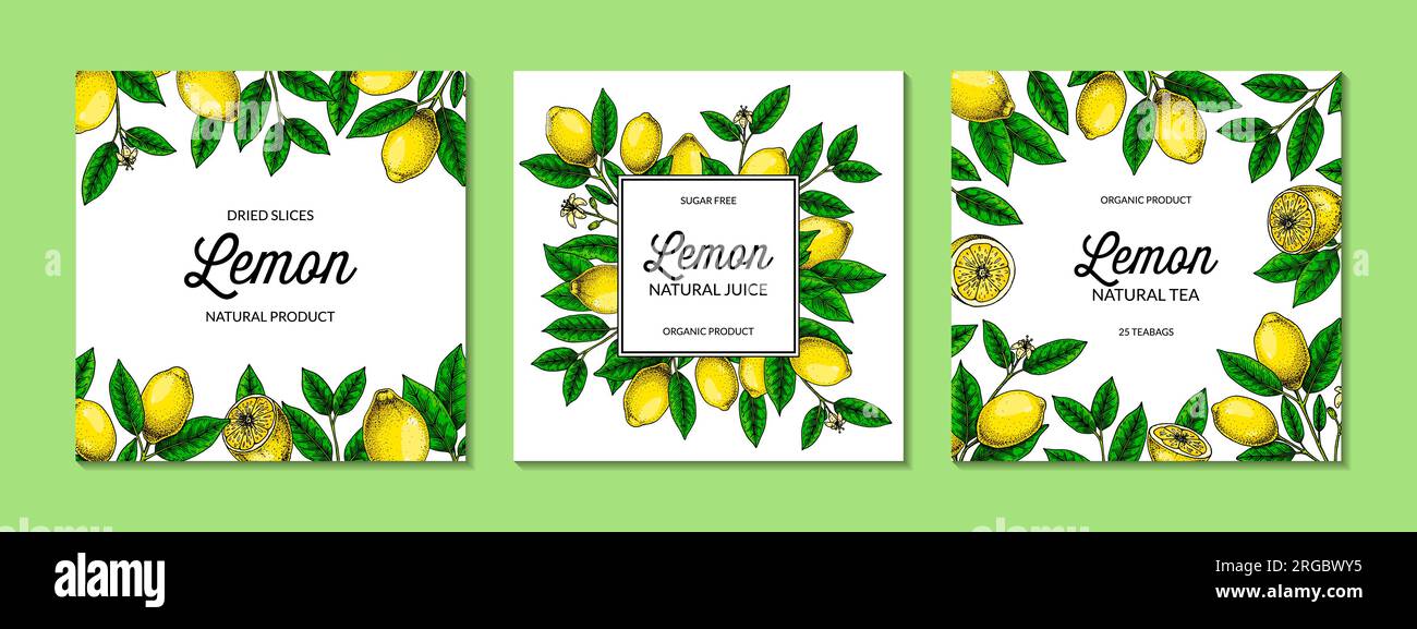 Square lemon background. Hand drawn colorful vector illustration in ...
