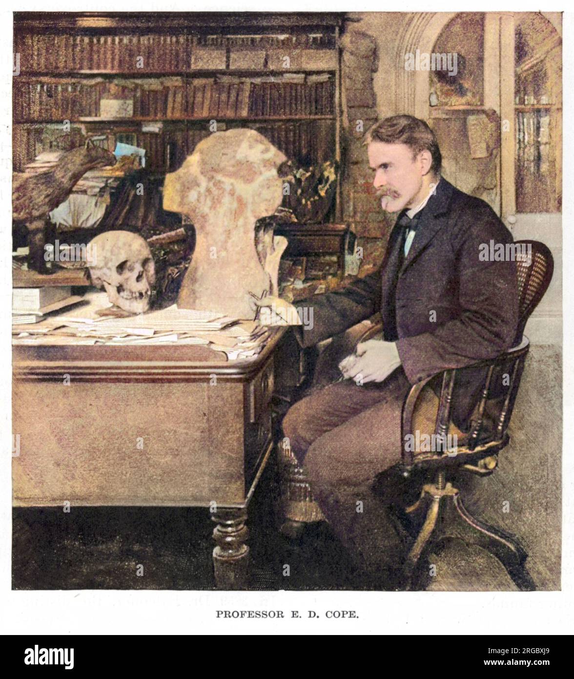 The cope hi-res stock photography and images - Alamy