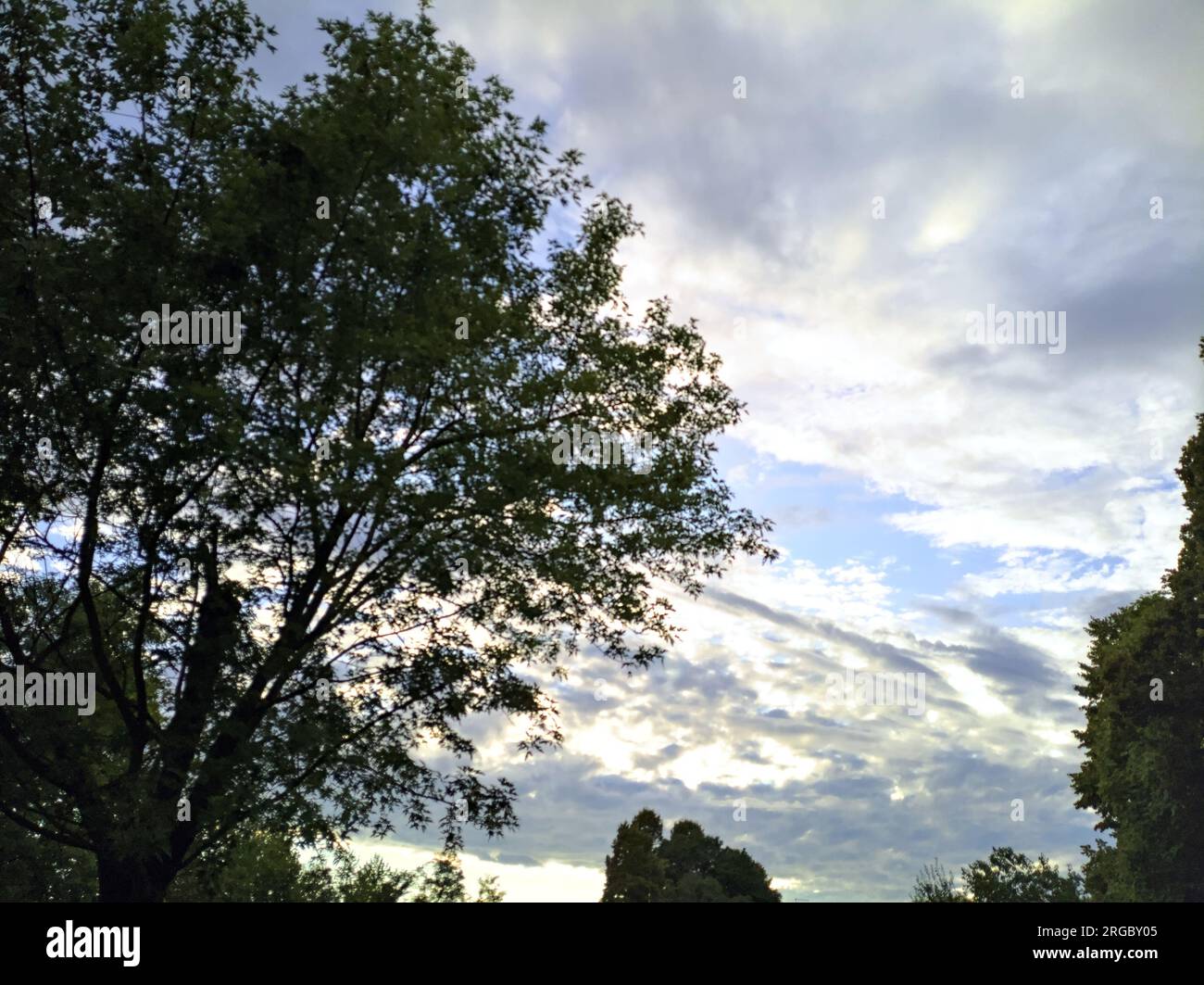 Sunset sky with clouds framed by tree tops Stock Photo - Alamy