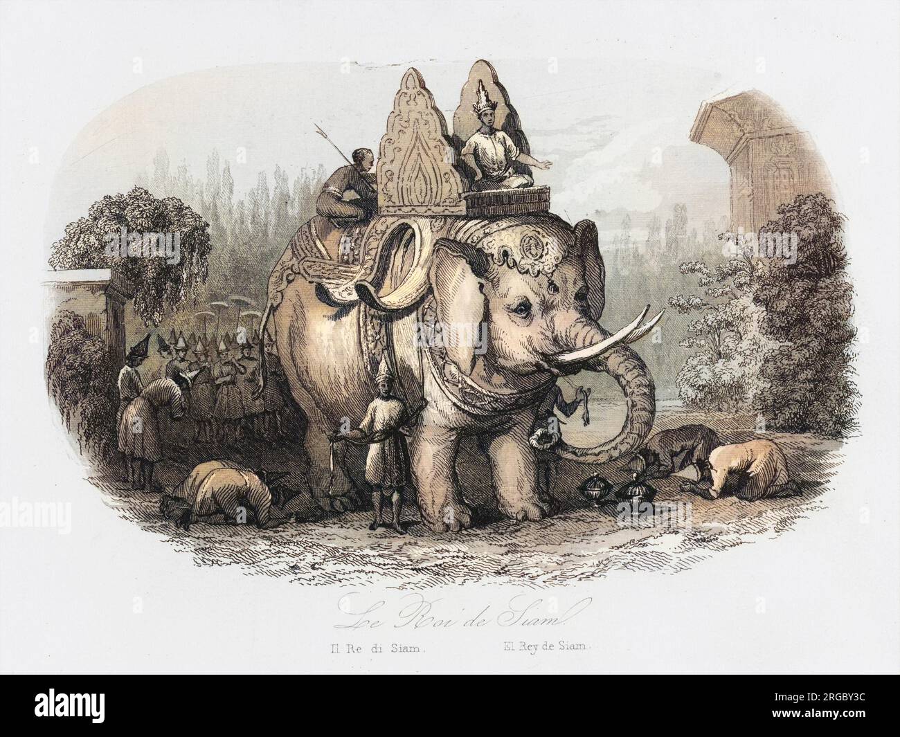 The sacred elephant of the King of Siam (Thailand Stock Photo - Alamy