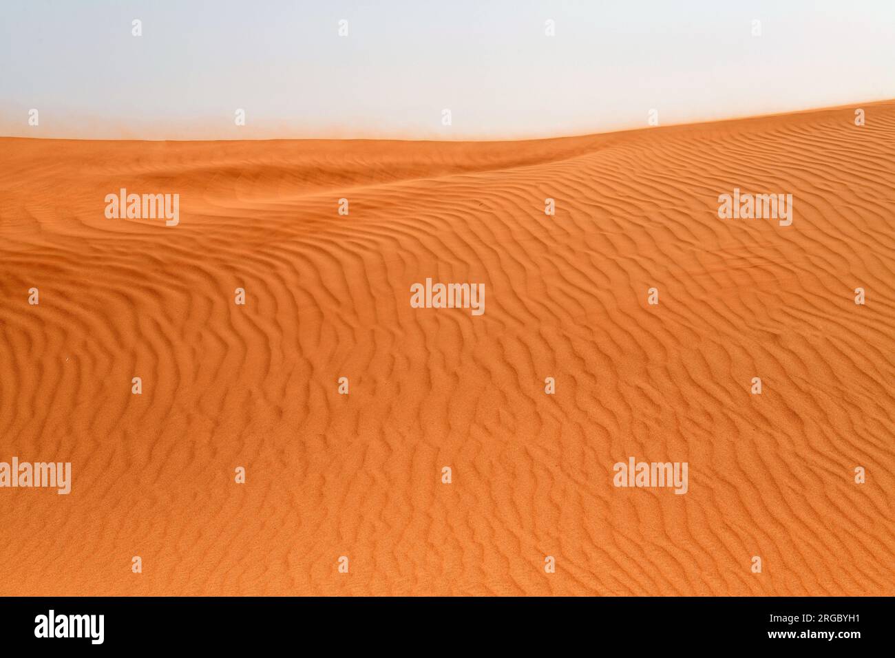 With more than nine million square kilometers, the Sahara is the ...