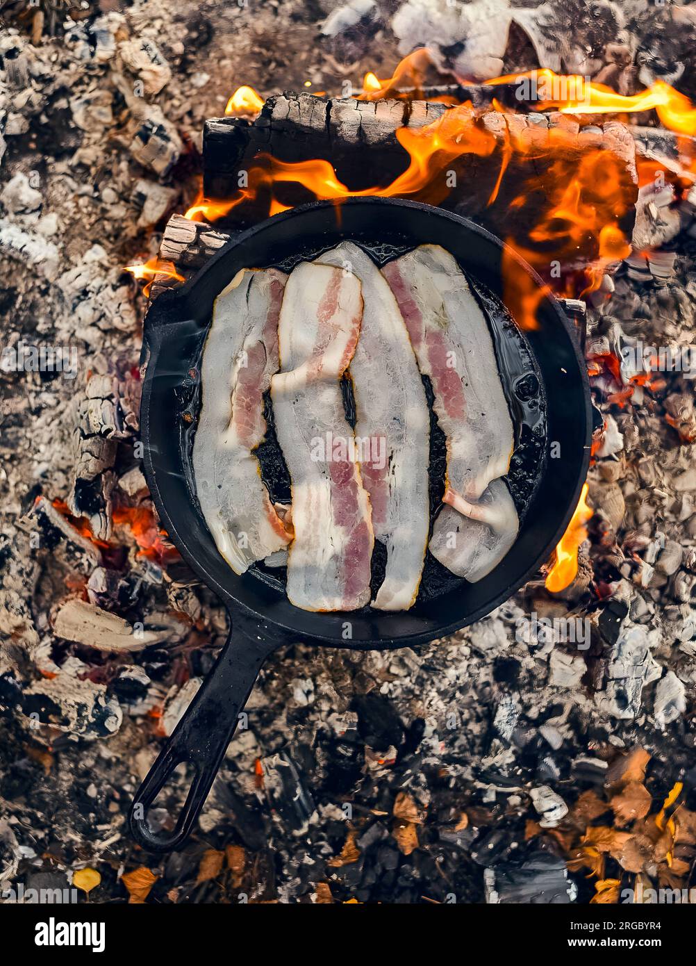fried bacon in a pan over a campfire in the forest Stock Photo - Alamy