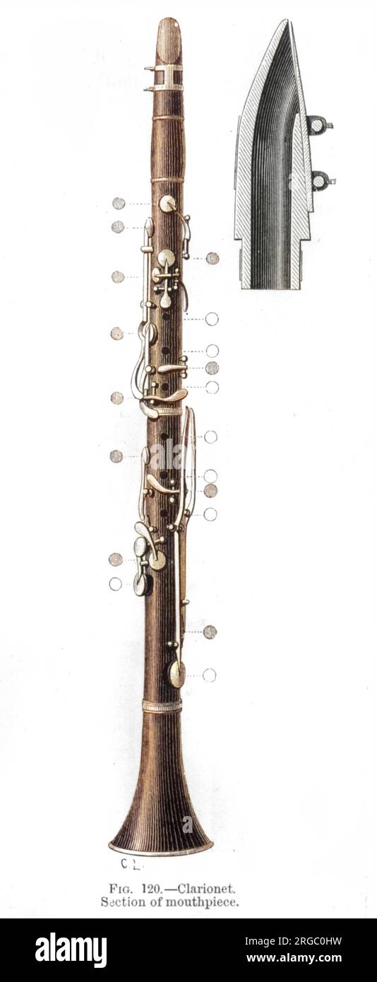 Clarinet-showing open and closed holes and keys, with cross-section of ...