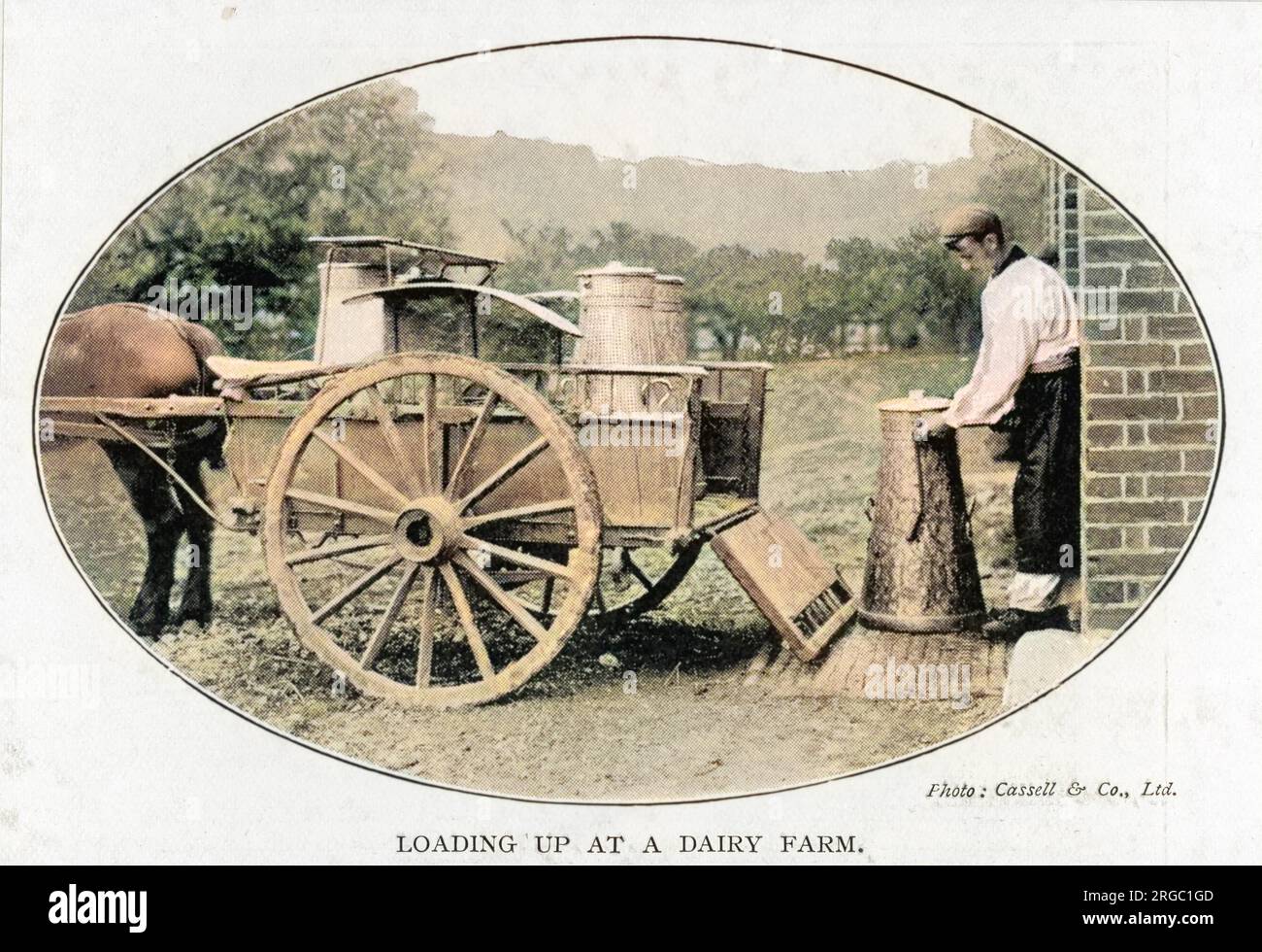 Loading milk churns onto a horse-drawn milk cart at a dairy farm : the ...
