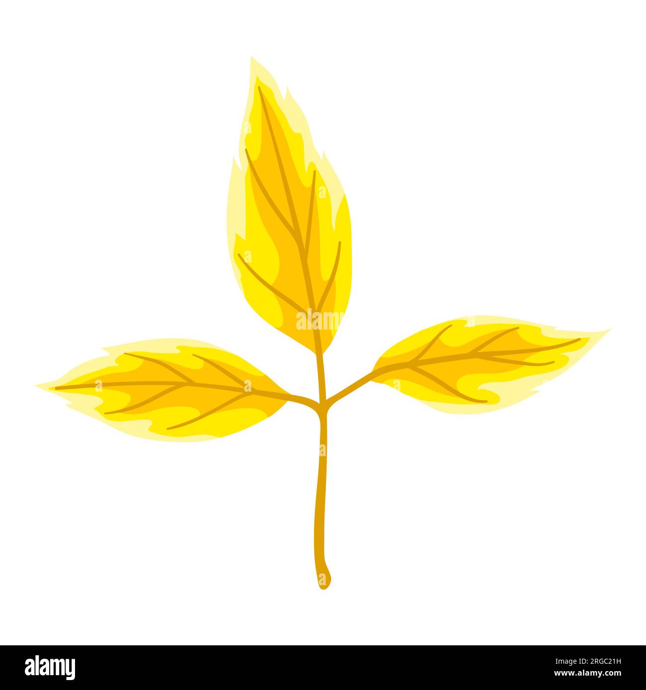 Illustration of autumn leaf. Decorative beautiful foliage Stock Vector ...