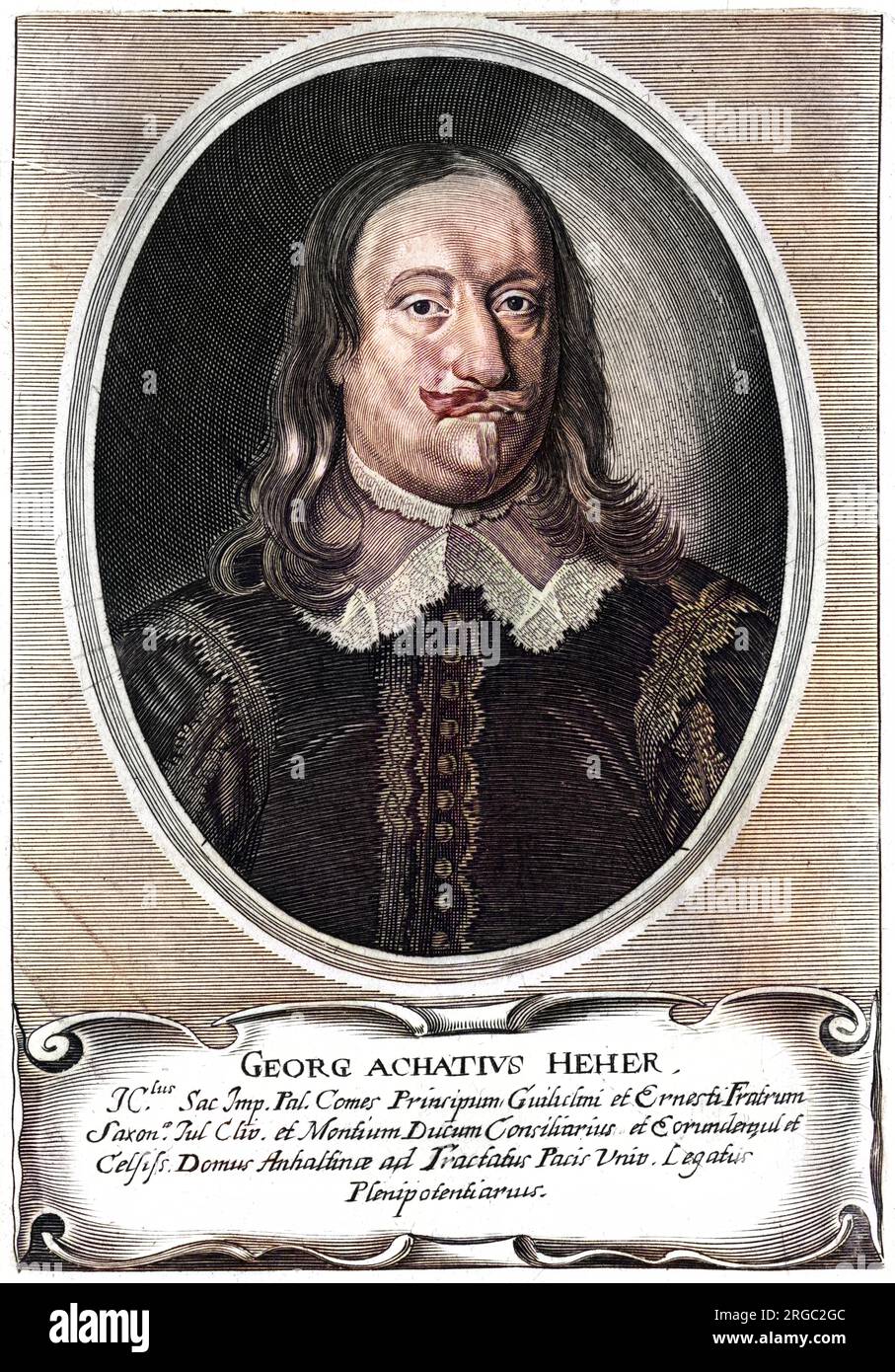 Heher Cut Out Stock Images & Pictures - Alamy