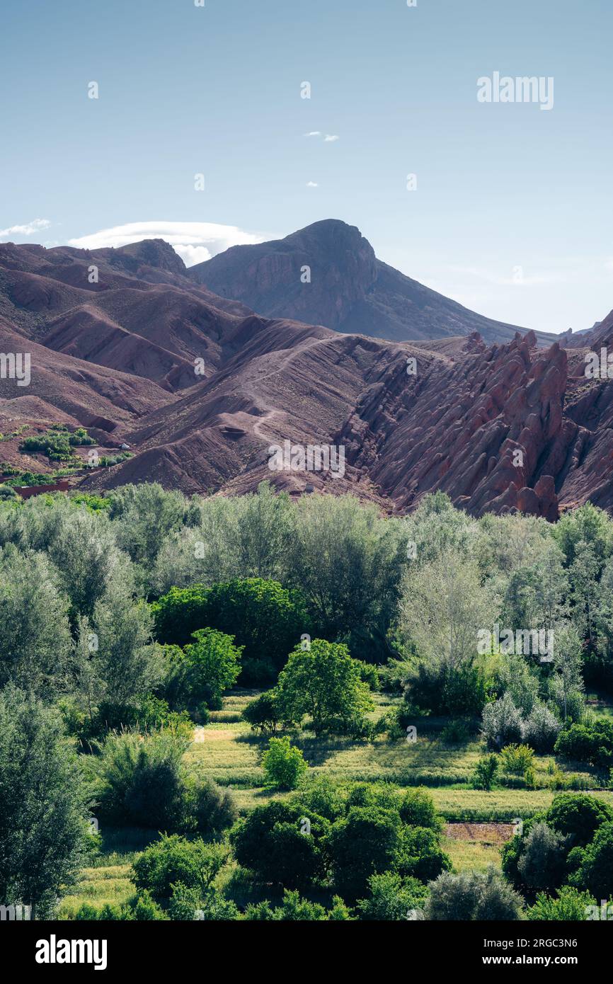 Dades Gorges: Nature masterpiece in Morocco, a stunning canyon with ...