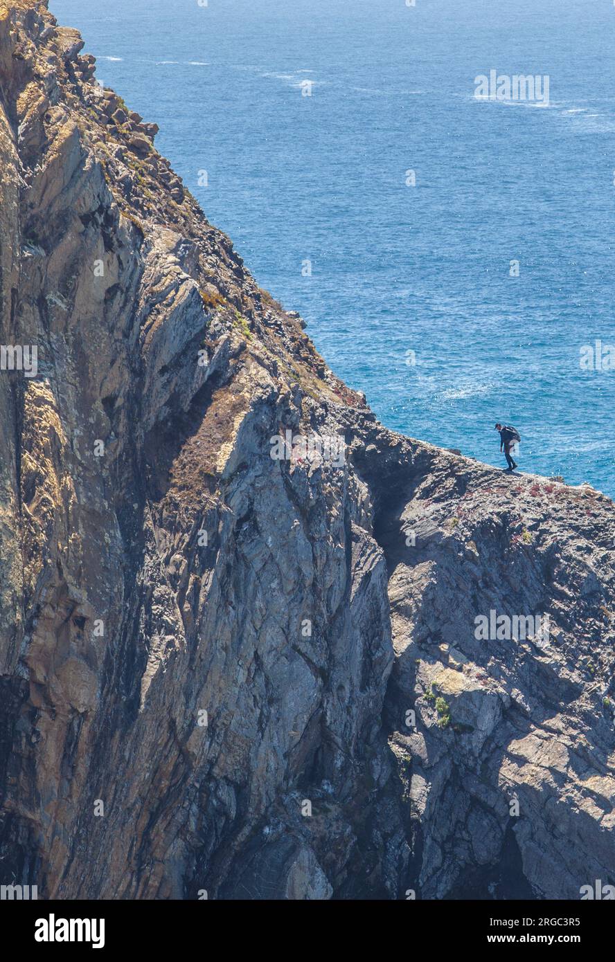 Shellfish catcher ascending the cliff of Cabo Sardao coast, Ponta do ...