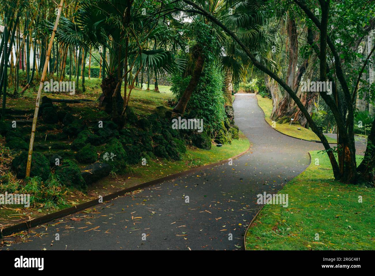 Jardim Botanico Antonio Borges. Tranquil botanical garden in Azores ...