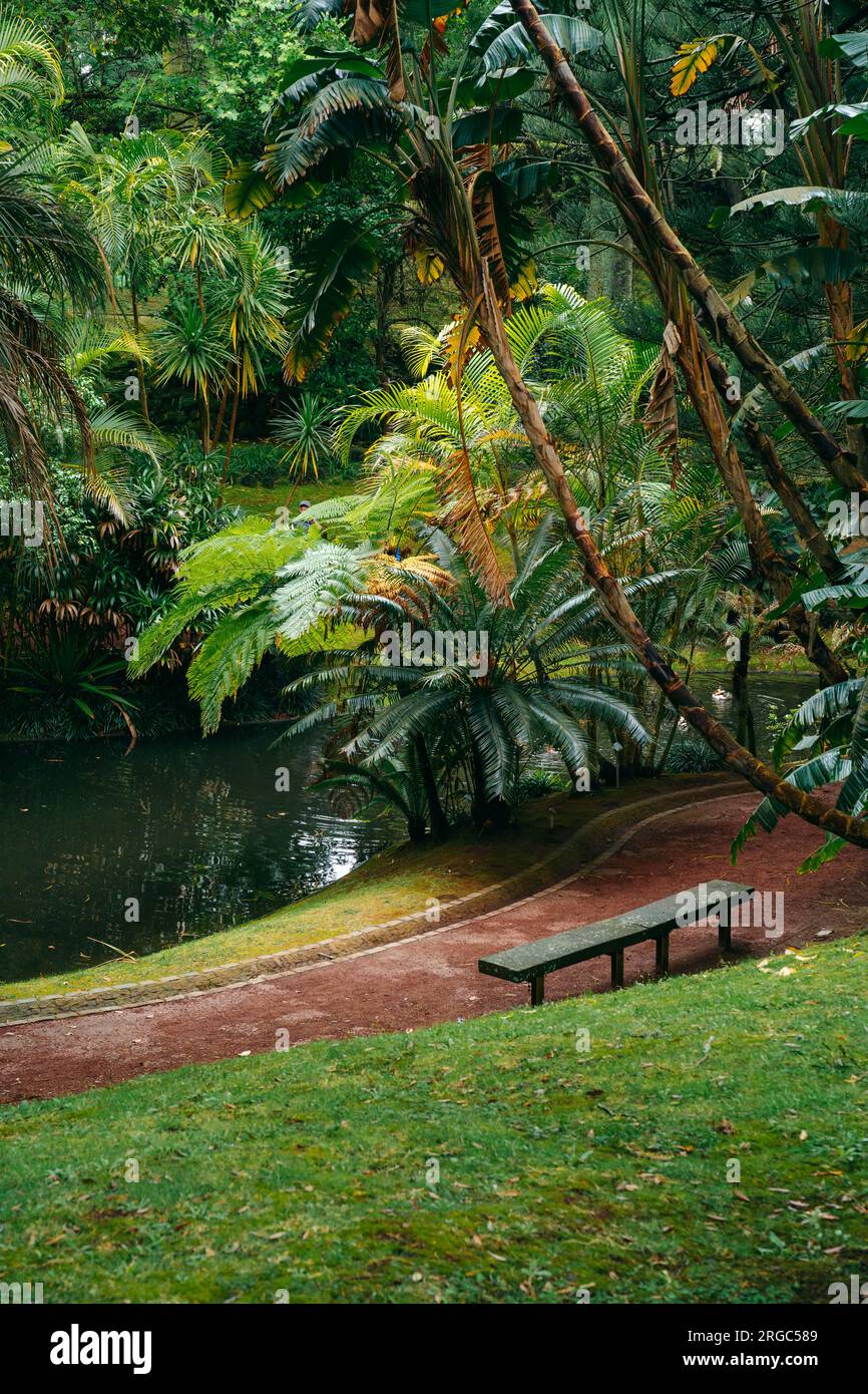 Jardim Botanico Antonio Borges. Tranquil botanical garden in Azores ...