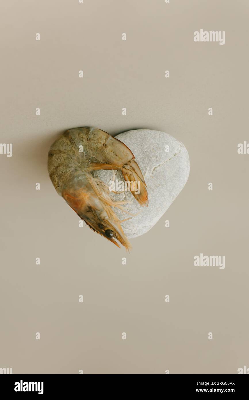 Shrimp and stone in the shape of a heart on a beige background. Place ...