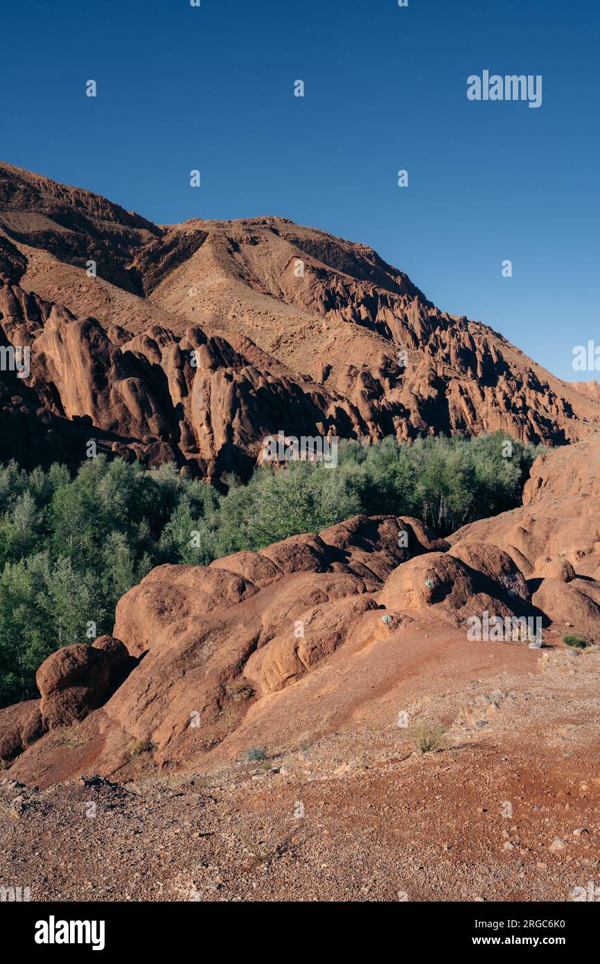 Dades Gorges: Nature masterpiece in Morocco, a stunning canyon with ...