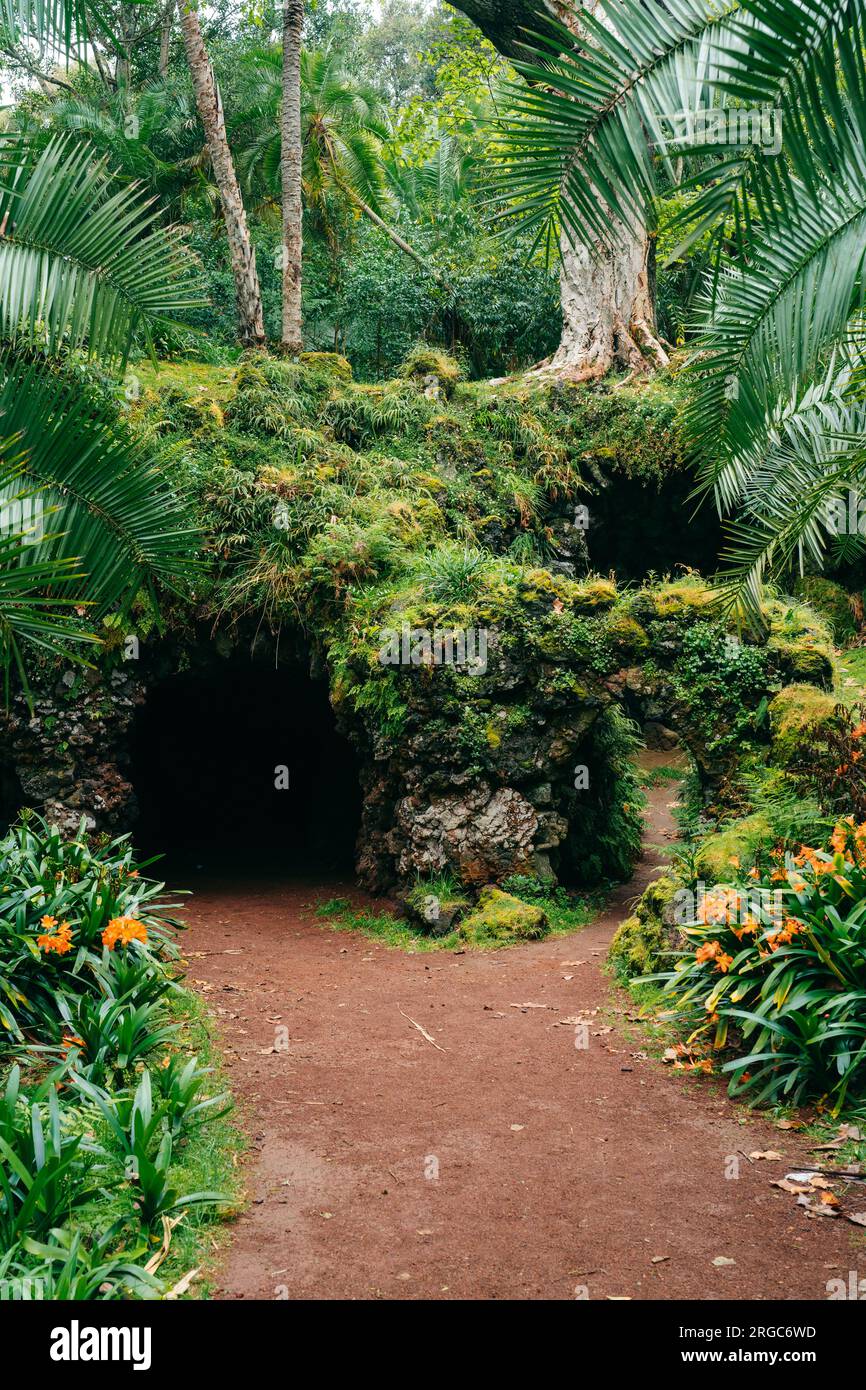 Diverse plant species hi-res stock photography and images - Alamy