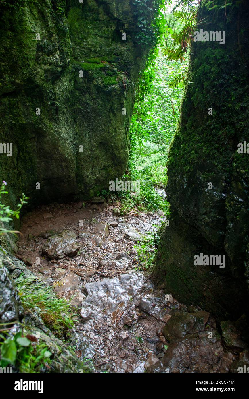 Ebbor Gorge, in Somerset, England Stock Photo - Alamy