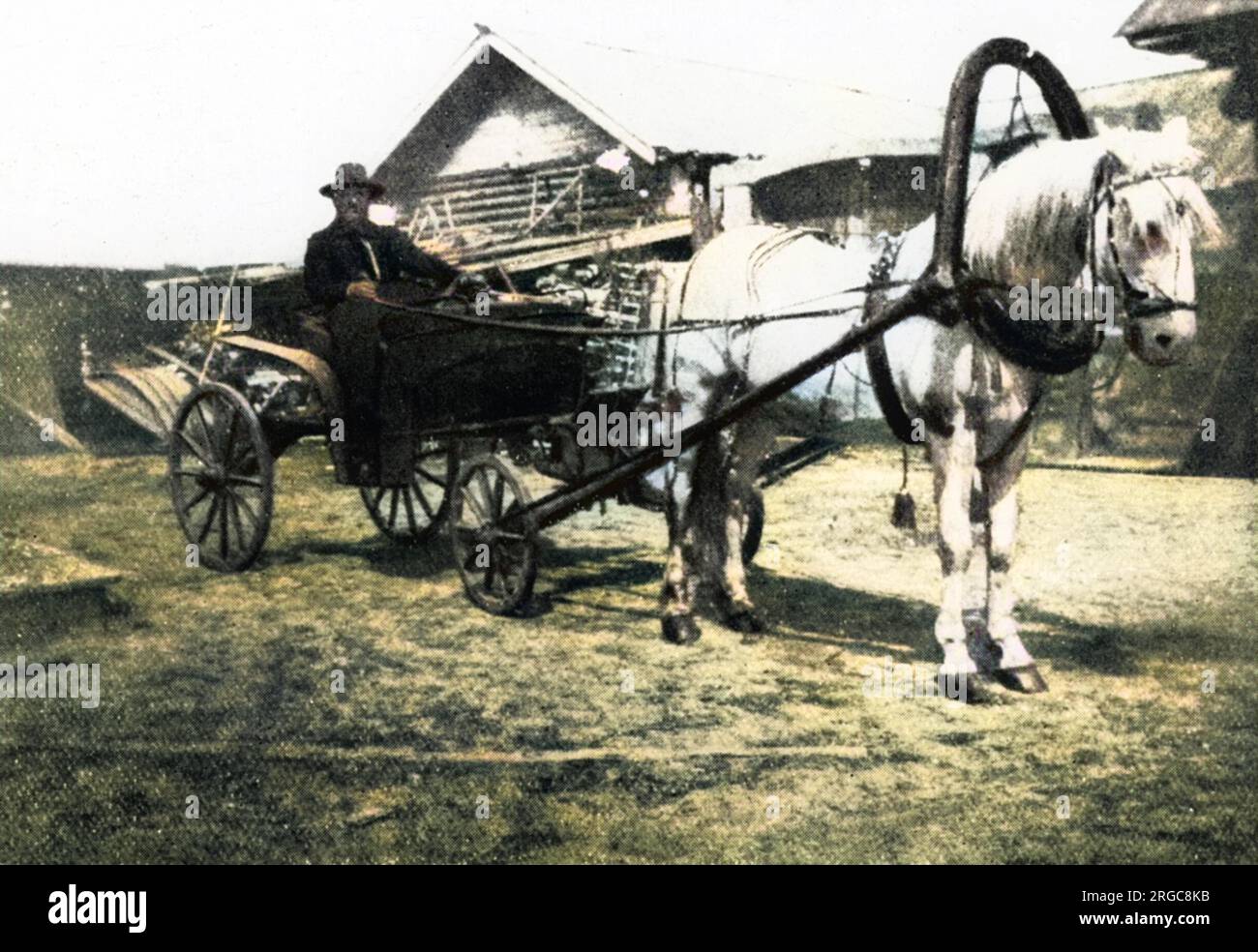 RASPUTIN IN CARRIAGE Russian priest early in his career Stock Photo - Alamy