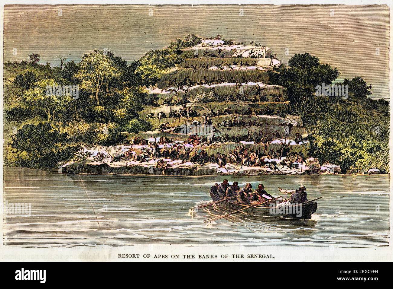 Senegal history hi-res stock photography and images - Alamy