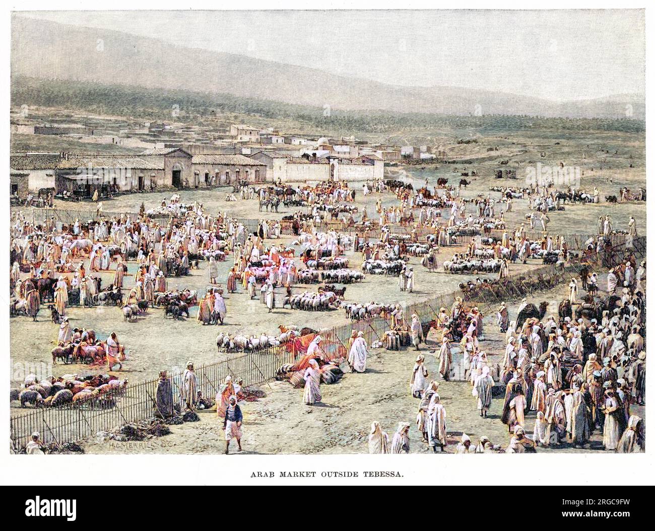 Chiefly hi-res stock photography and images - Alamy