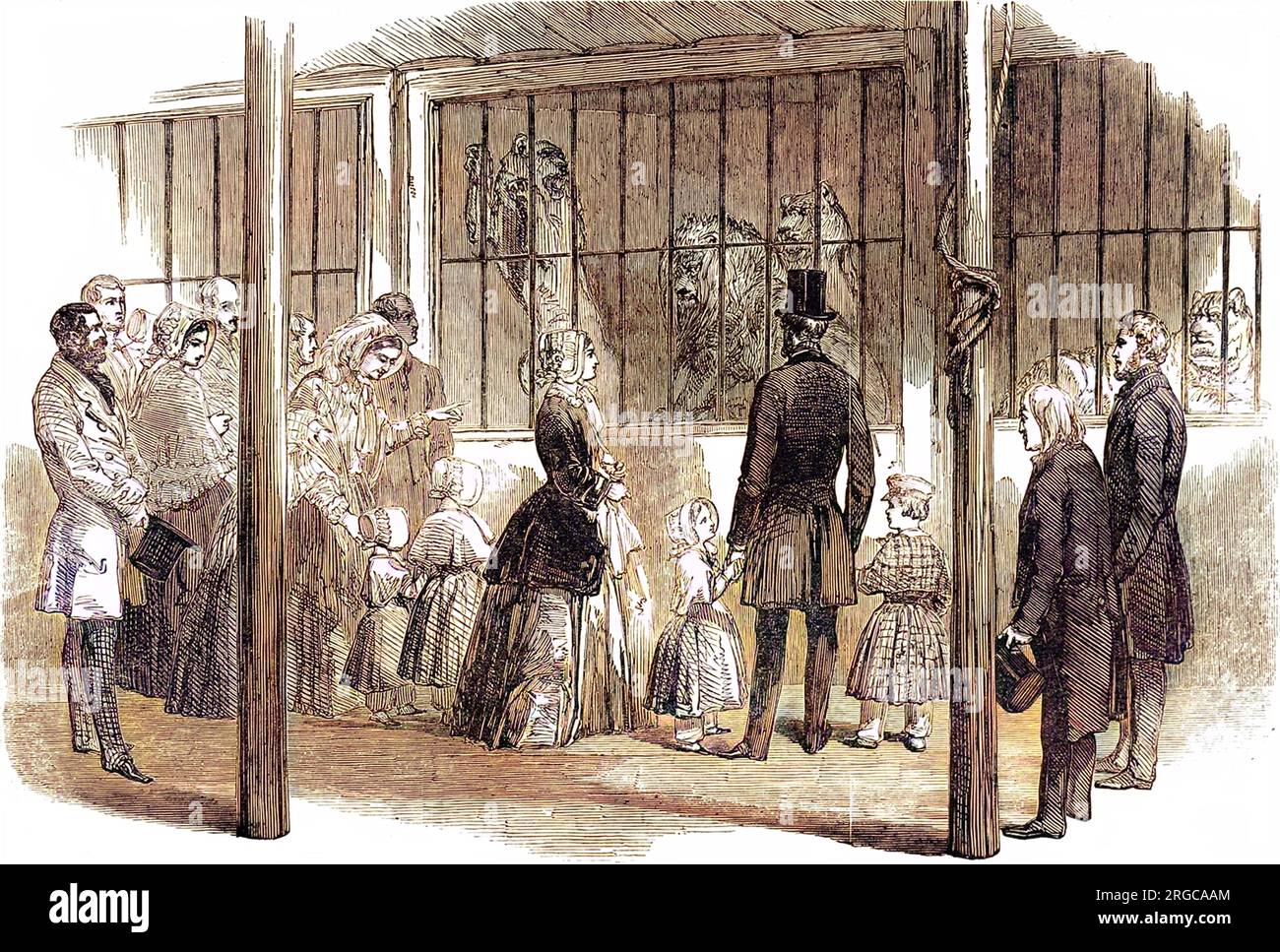 Queen Victoria, Prince Albert and their children looking at the animals ...